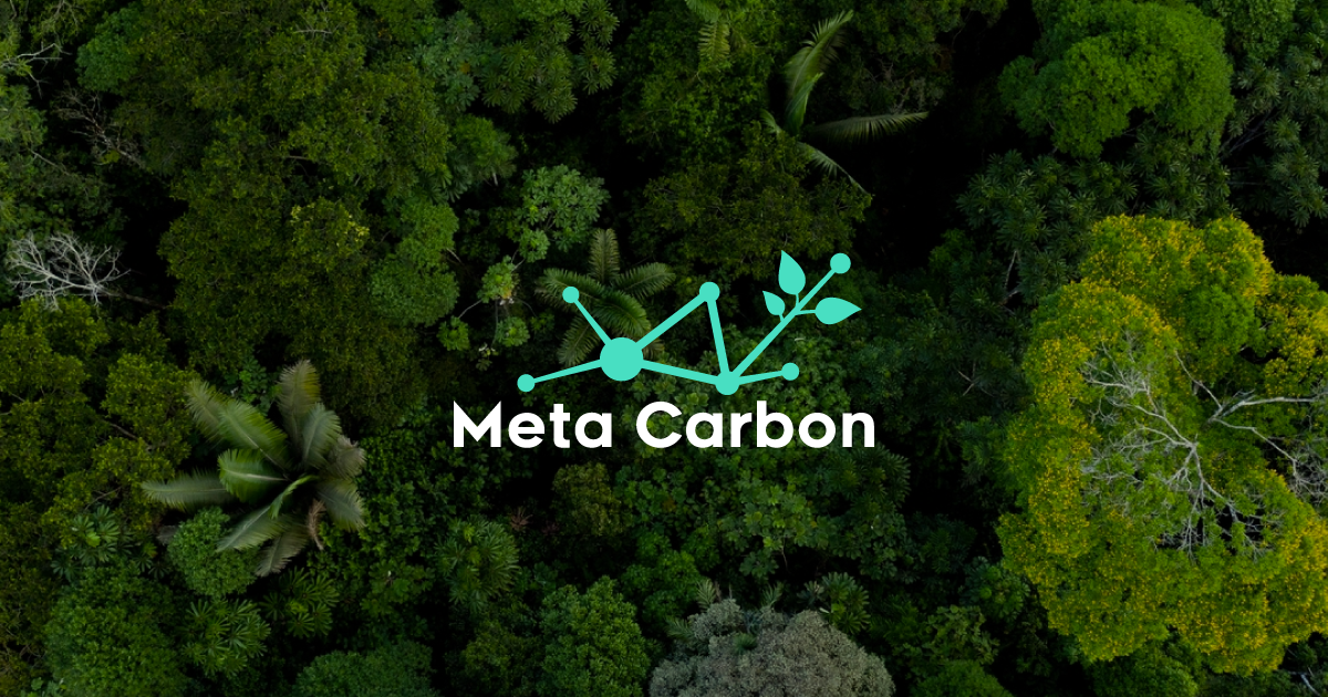 About Us - Meta Carbon