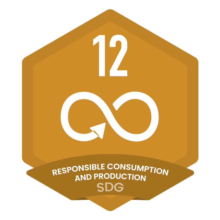 Terra Focus - Meta Carbon