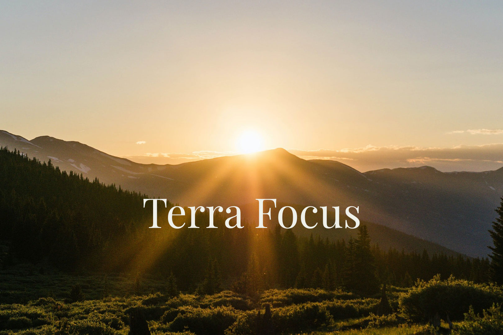 Terra Focus - Meta Carbon