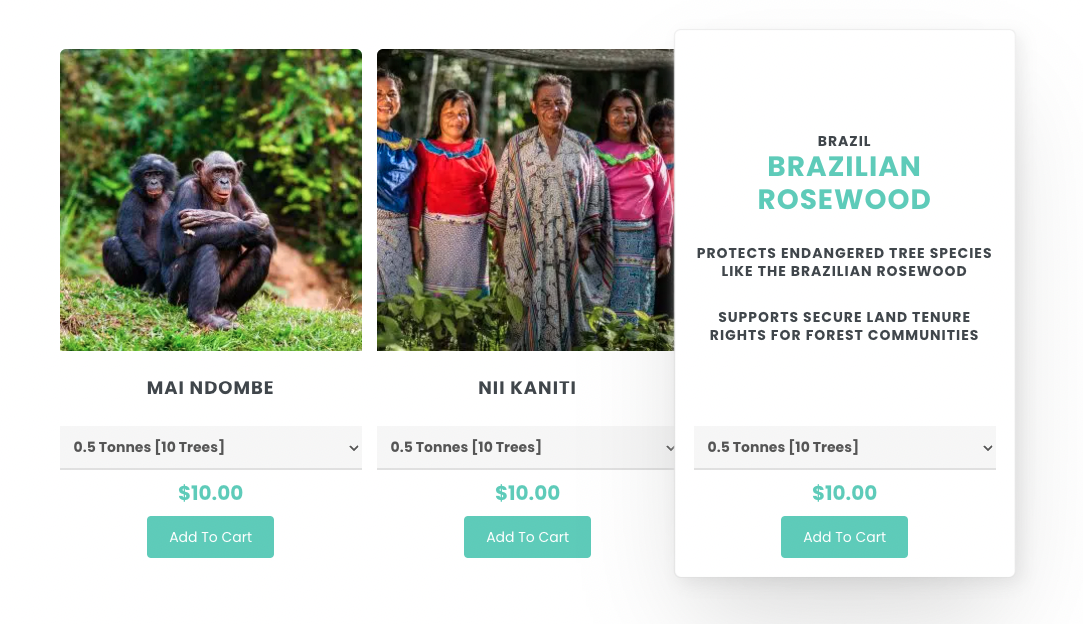 Case Study Stand For Trees - Meta Carbon