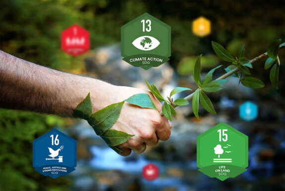 SDG Goals & Carbon - Meta Carbon